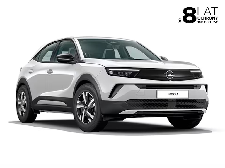 Nowa Mokka – oferty